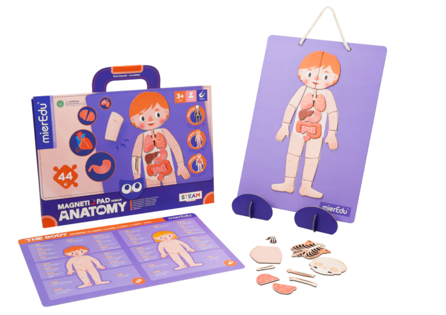 Magnetic Pad (6 types) – Bona Family